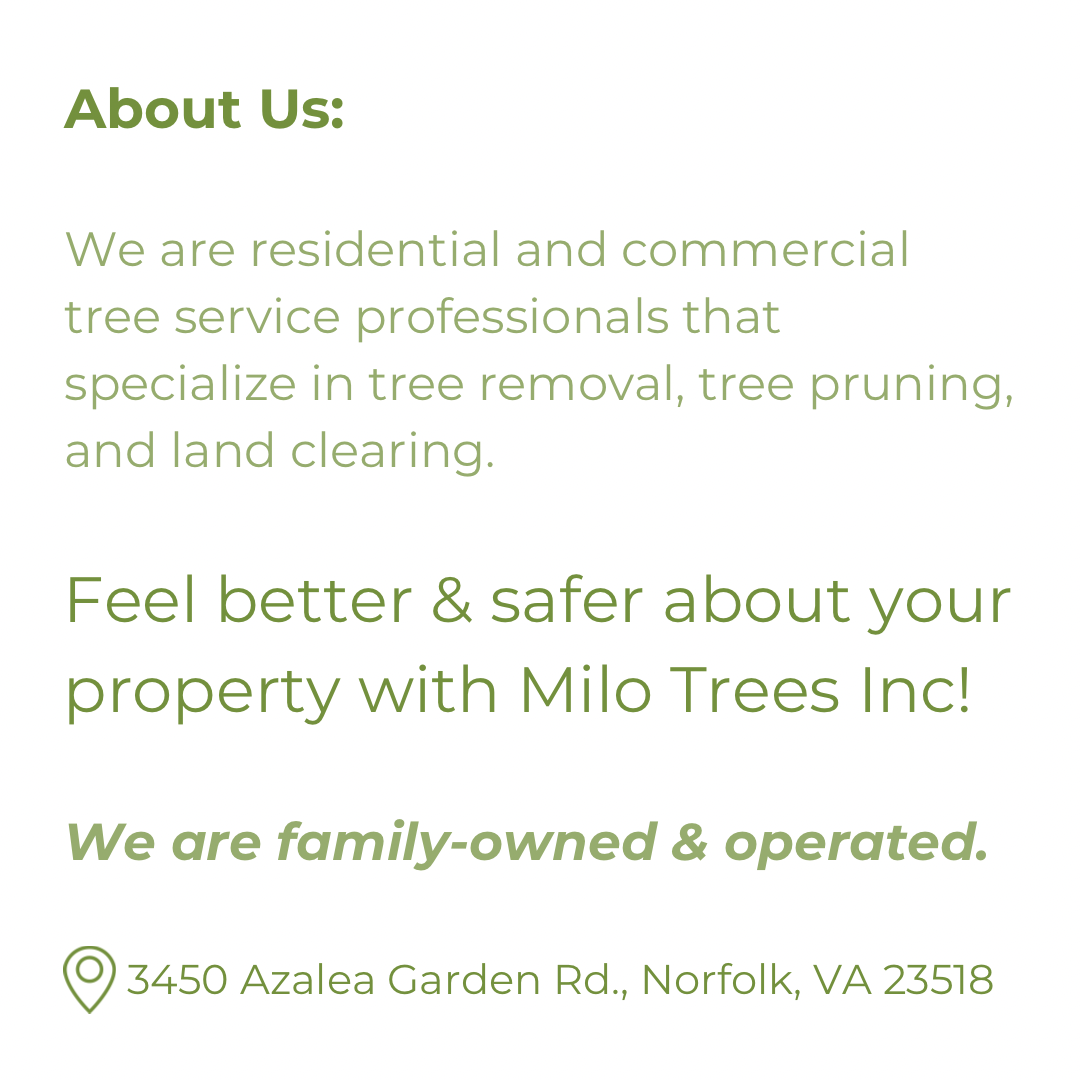 Milo Trees Inc